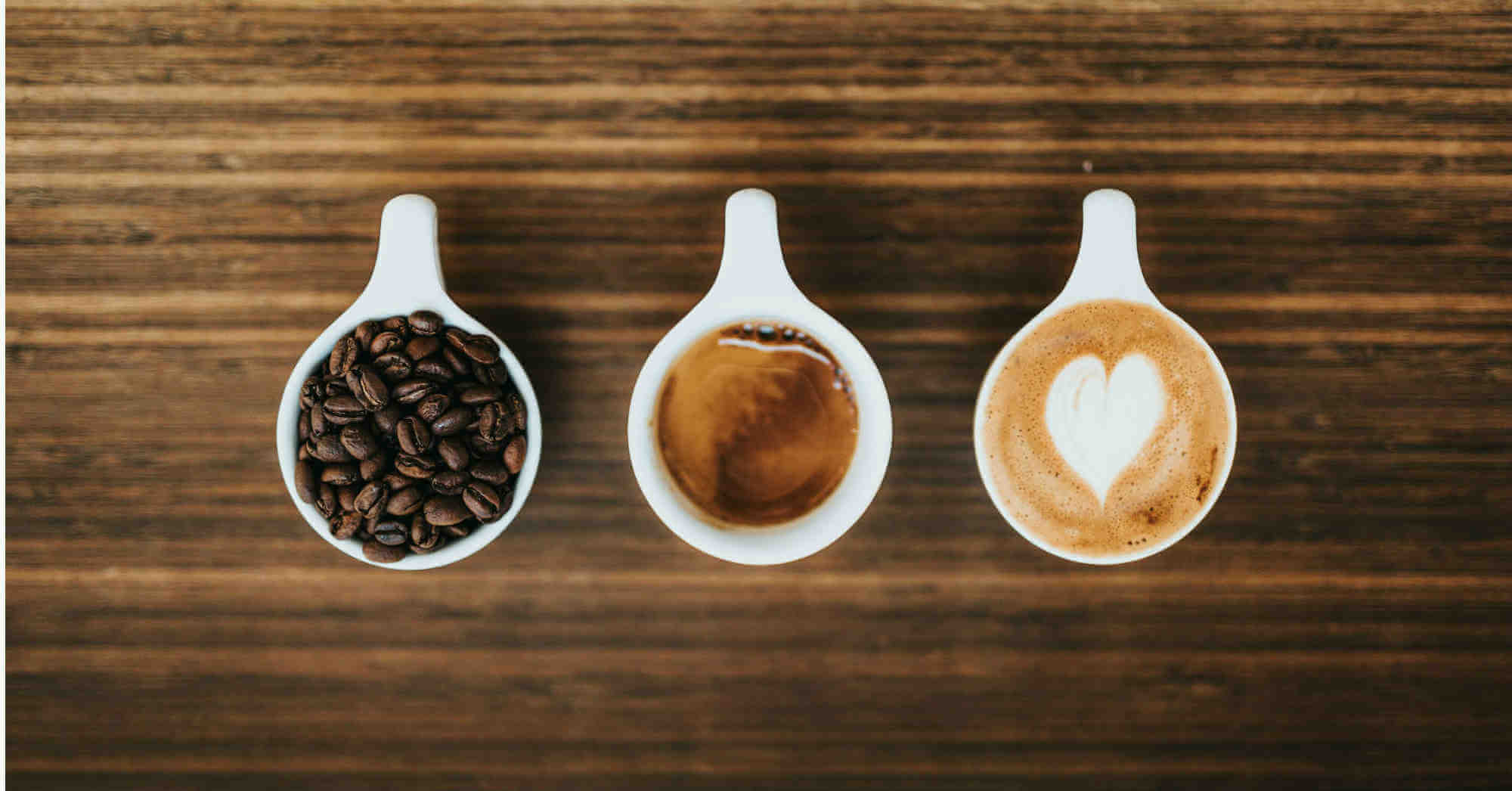 MINDO COFFEE & CHOCOLATE DAY TRIP - Takiri Travel